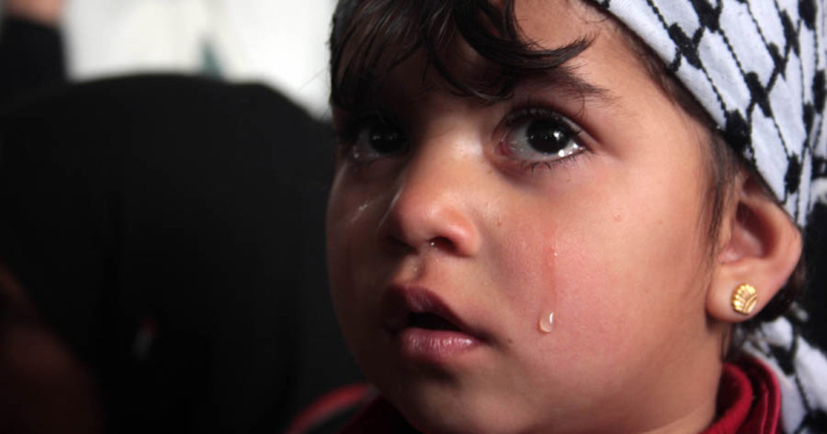 Gaza Emergency Appeal For USA Supporters | Human Appeal USA | Human ...