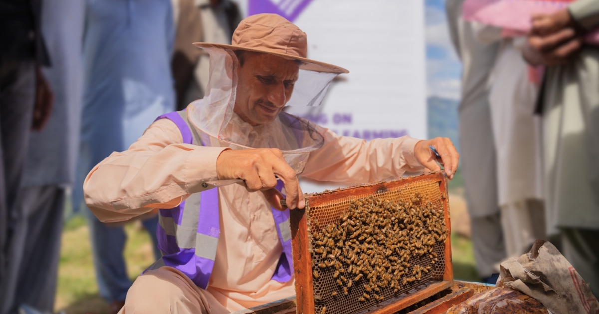 Honey Bee Farm | Human Appeal Inc.